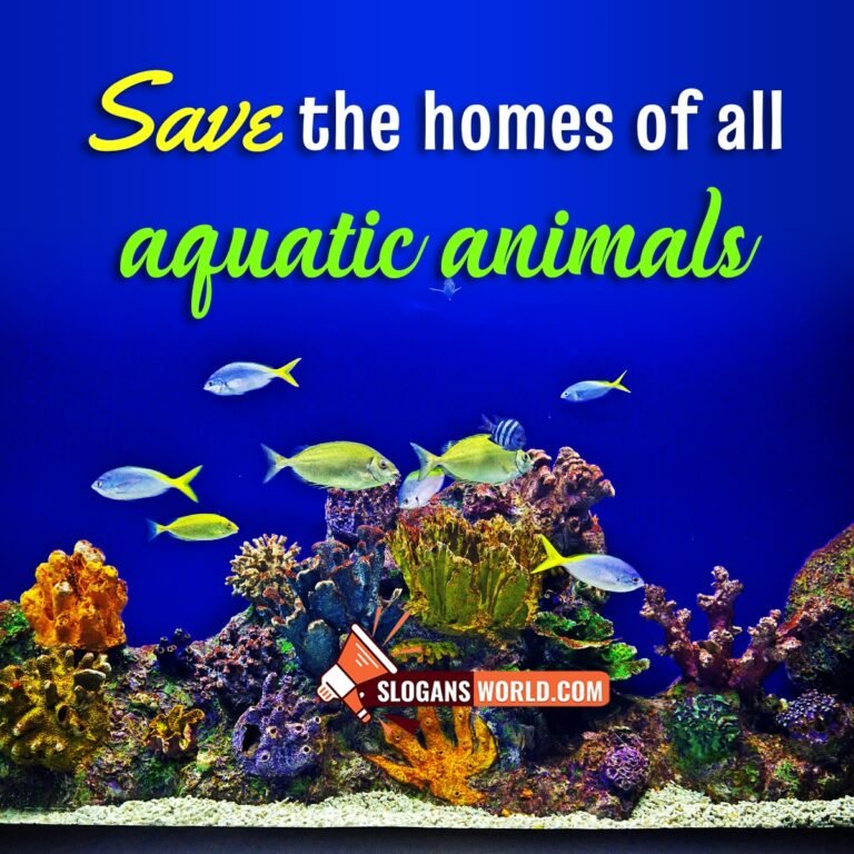 Water Pollution Slogans to Protect Our Water Bodies - Slogans World